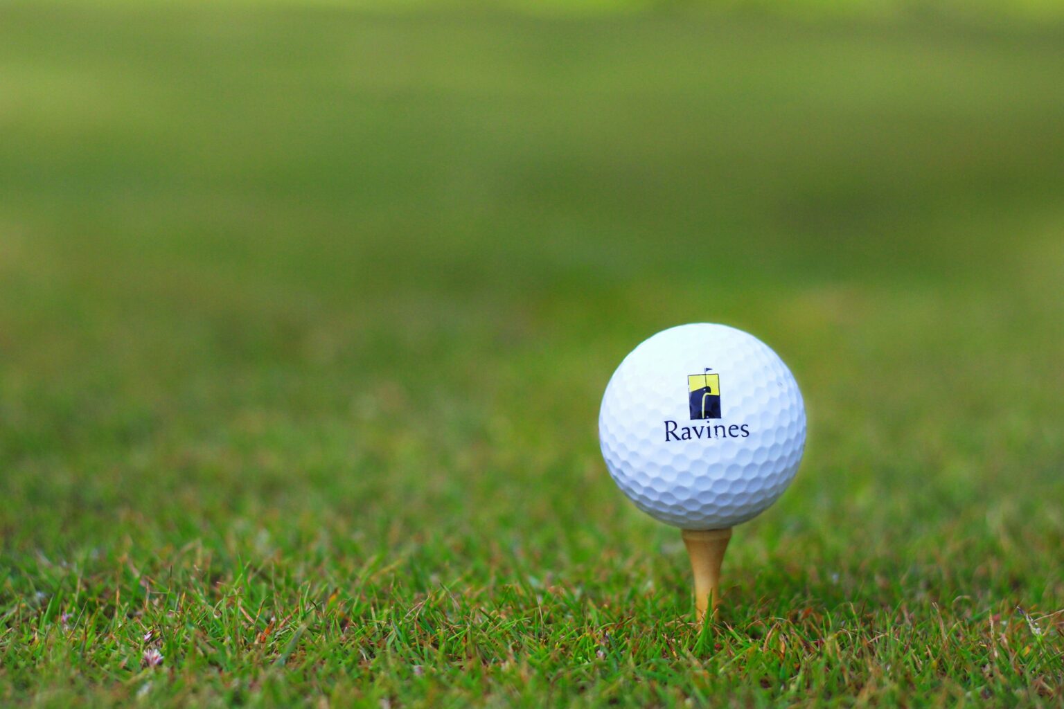 Ravines Golf Club – Saugatuck, MI – Arnold Palmer Signature Golf Course